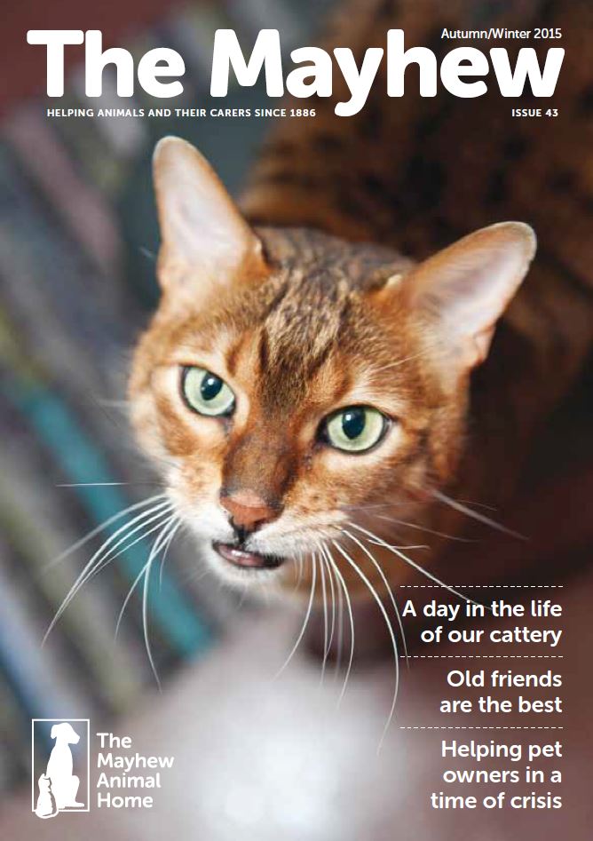 Mayhew Magazine Autumn/Winter 2015 - Mayhew
