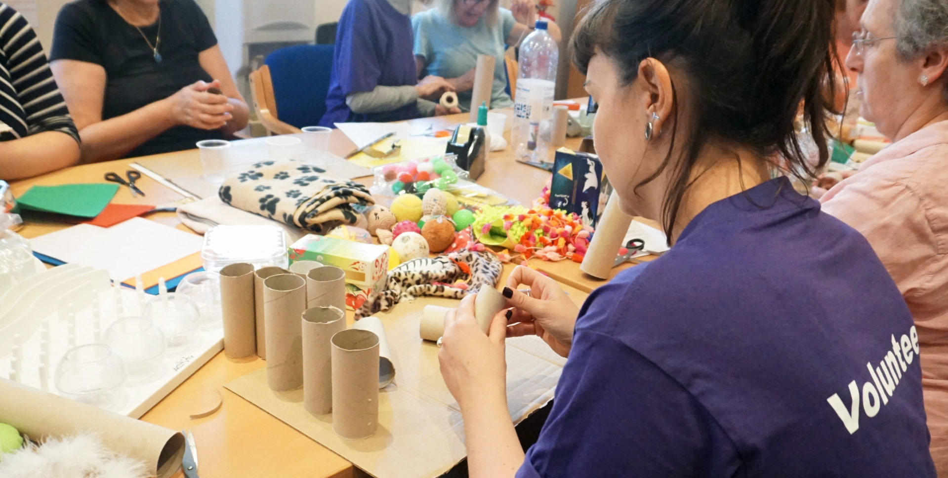 Our Volunteers Get Crafty to Help De-stress our Cats - Mayhew