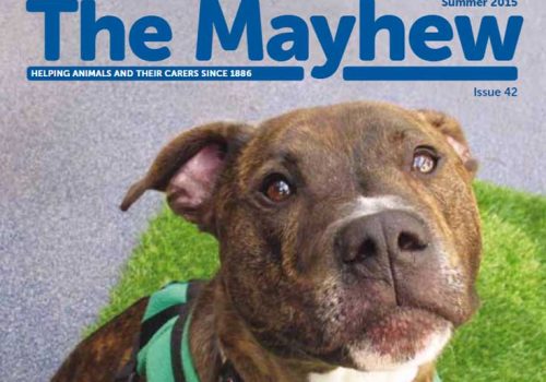 Mayhew Magazine Summer 2015 - Mayhew