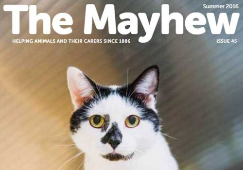 Mayhew Magazine Summer 2016 - Mayhew