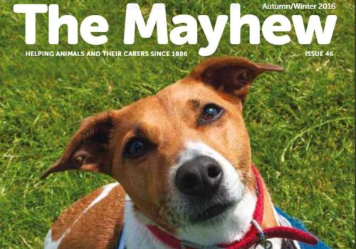 The Mayhew Magazine Autumn Winter 2016 - Mayhew