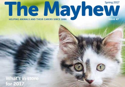 The Mayhew Magazine Spring 2017 - Mayhew