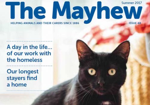 The Mayhew Magazine Summer 2017 - Mayhew