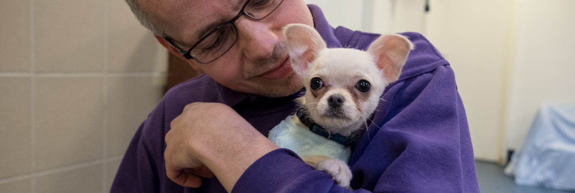 ‘Tiny’ Puppy Found Abandoned and Wrapped Up in a Towel in a Park - Mayhew