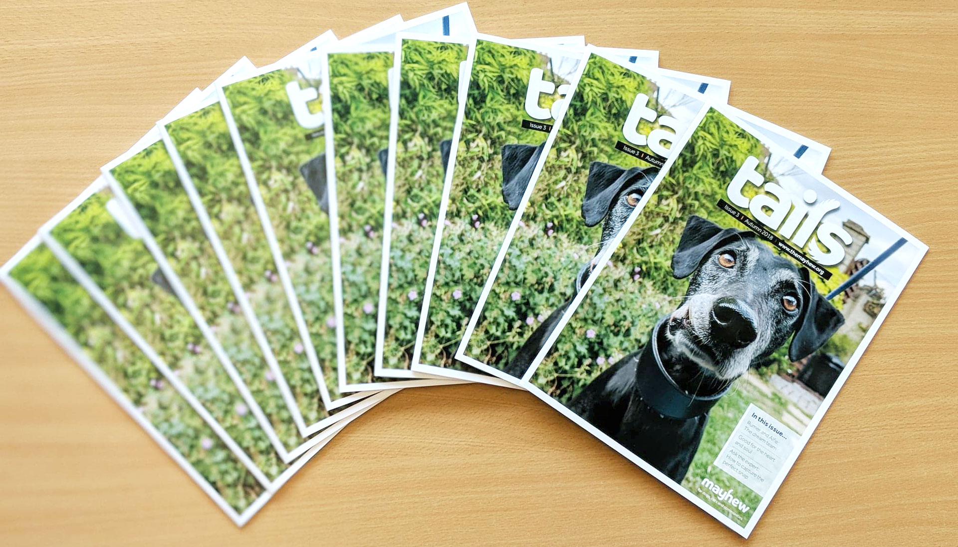 Tails Autumn 2018 Issue 3 - Mayhew