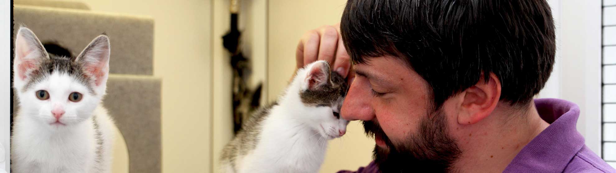 Cats are a real marvel - Mayhew