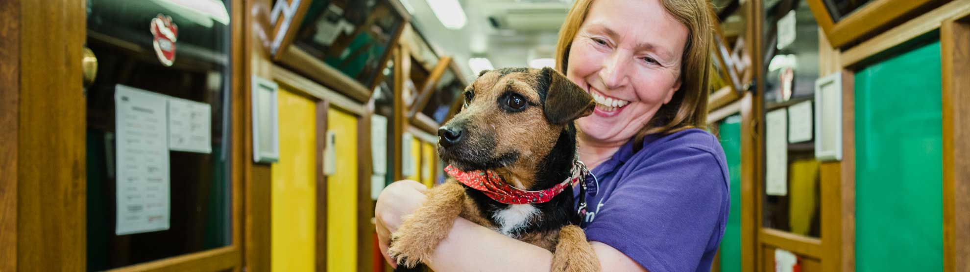 In their shoes: Dog fostering coordinator - Mayhew