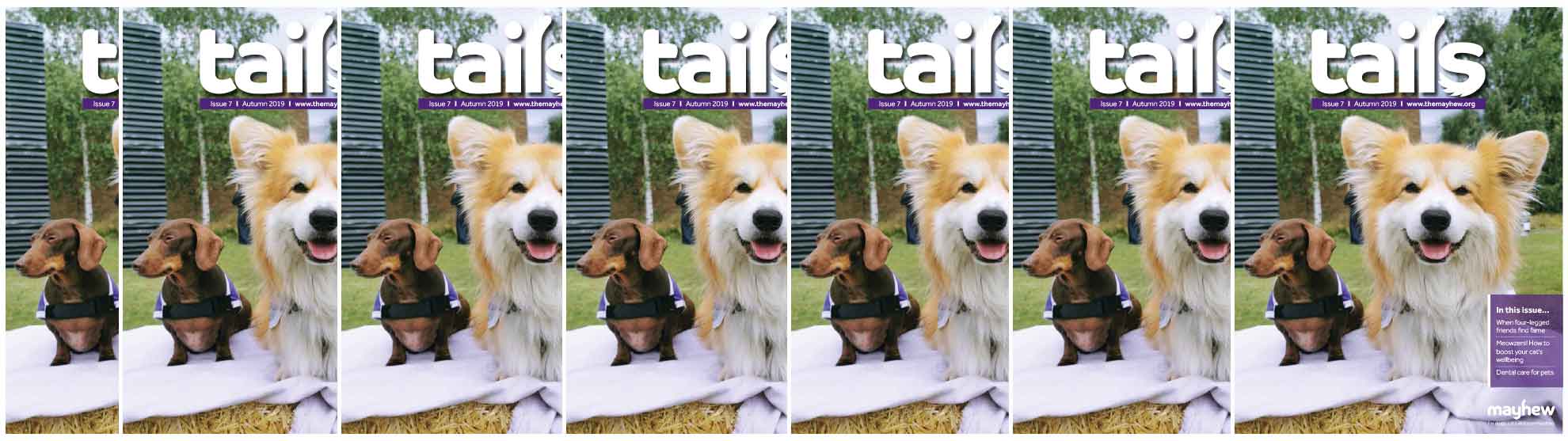 Tails Autumn 2019 Issue 7 - Mayhew