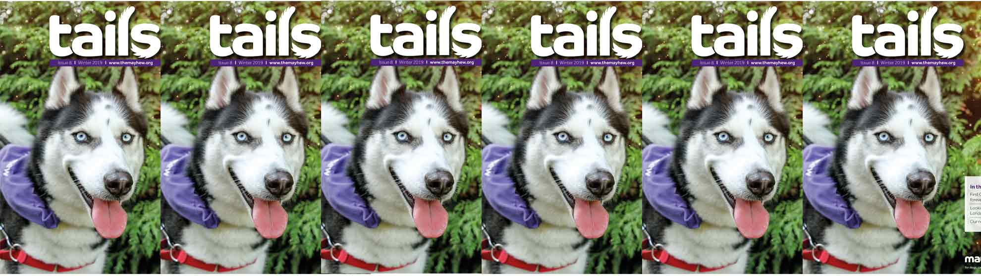 Tails Winter 2019 Issue 8 - Mayhew