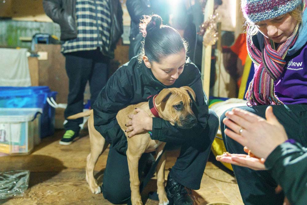 Mayhew and Crisis team up to warm hearts, hands and hounds this ...