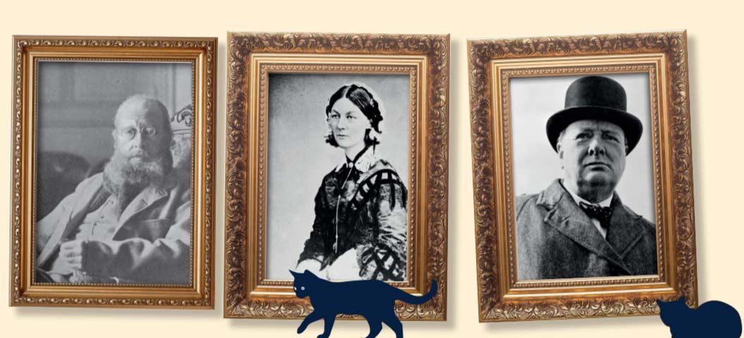 Meet the feline friends behind these famous faces - Mayhew