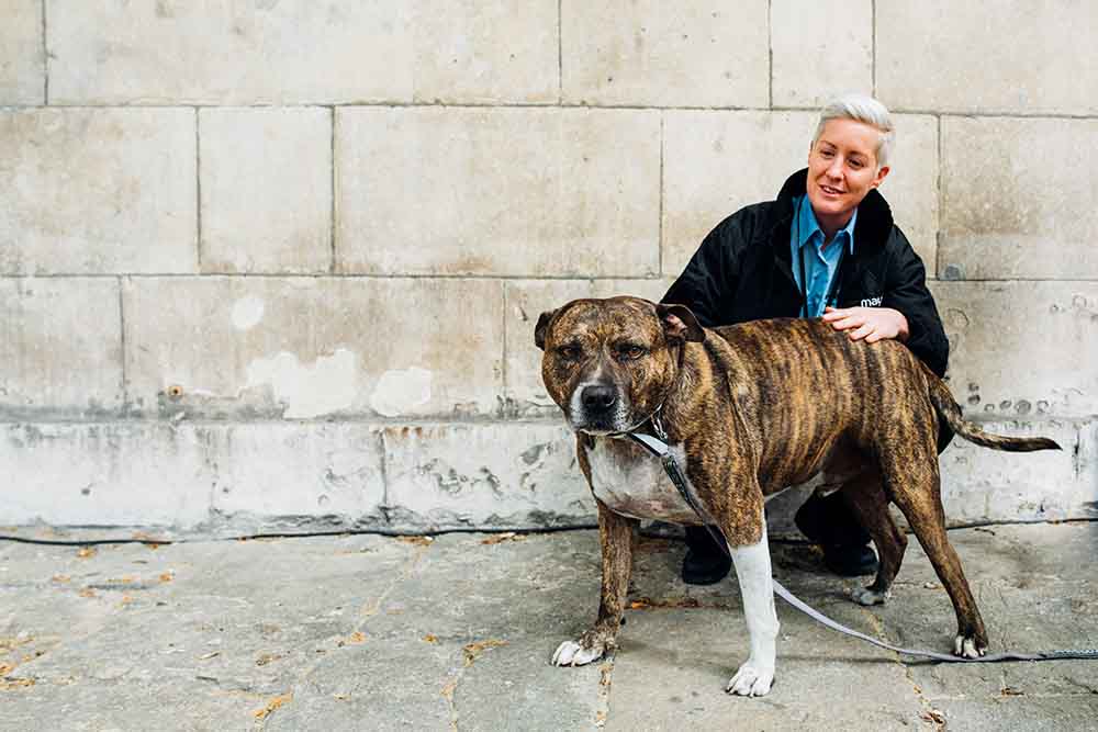 Mayhew receives vital funding from The Julia and Hans Rausing Trust ...