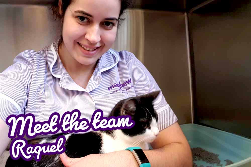Meet the team: Raquel the Student Veterinary Nurse - Mayhew