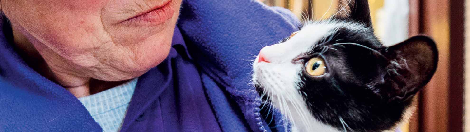 Mayhew Annual Review 2019 - Mayhew