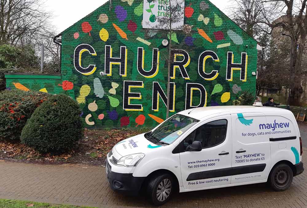 Mayhew team up with local food banks to supply dog and cat food for ...