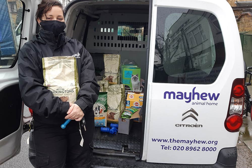 Mayhew team up with local food banks to supply dog and cat food for ...