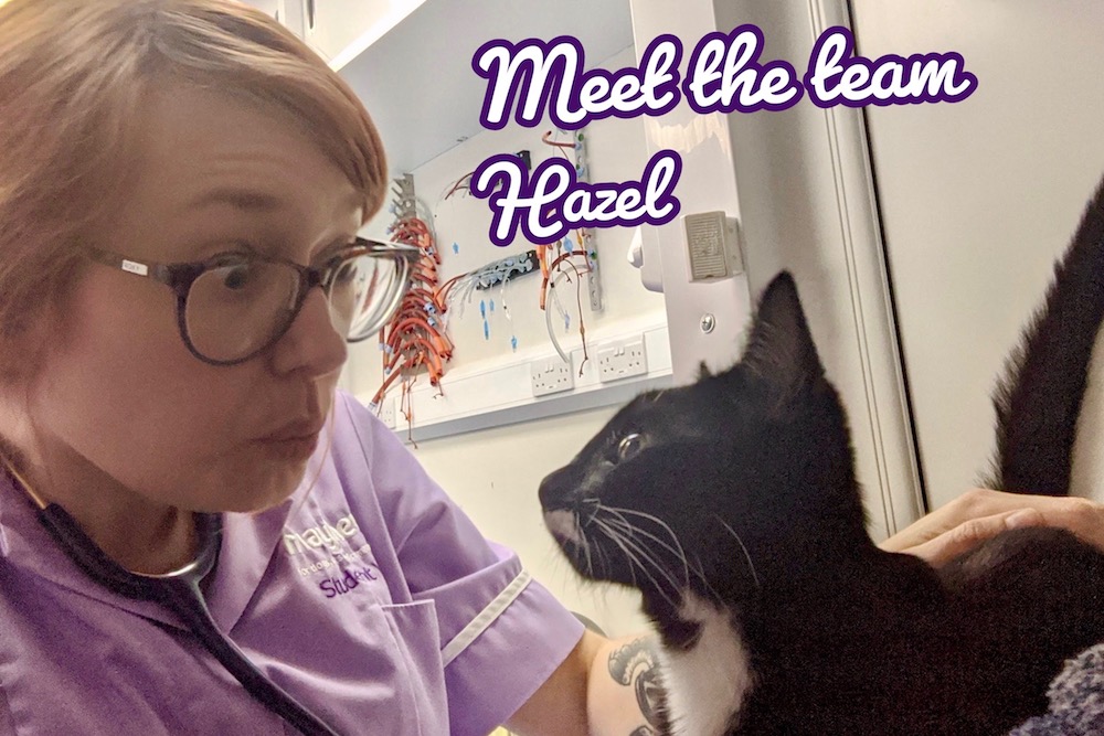 Meet the team: Hazel the Student Veterinary Nurse - Mayhew