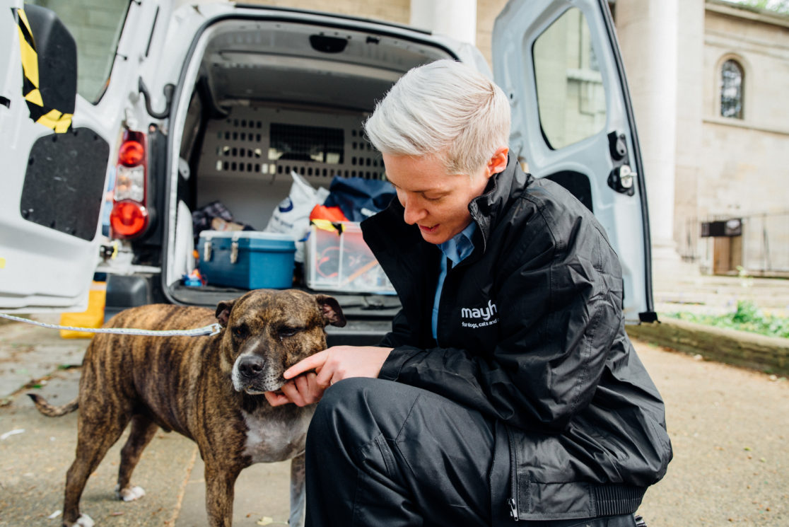 Mayhew begins search for new CEO - Mayhew