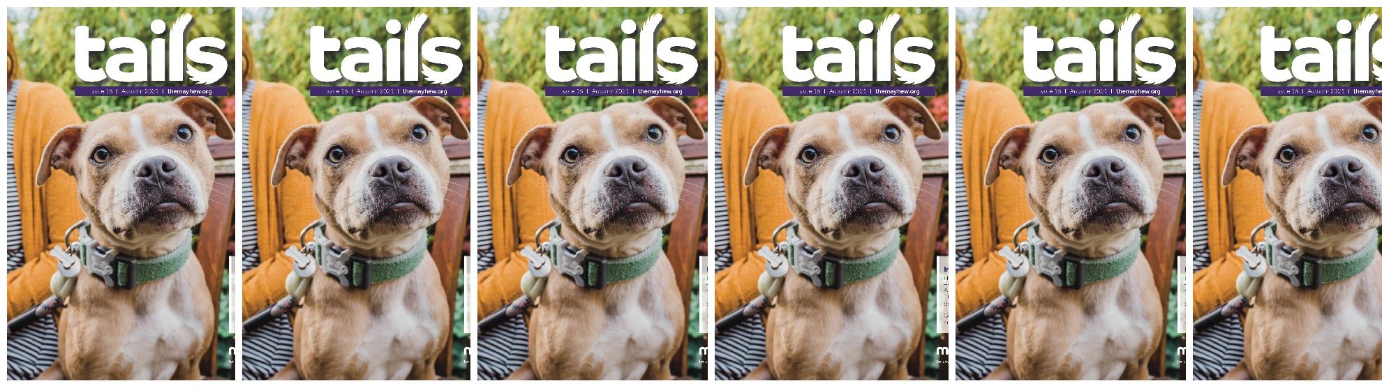 Tails Autumn 2021 Issue 15 - Mayhew