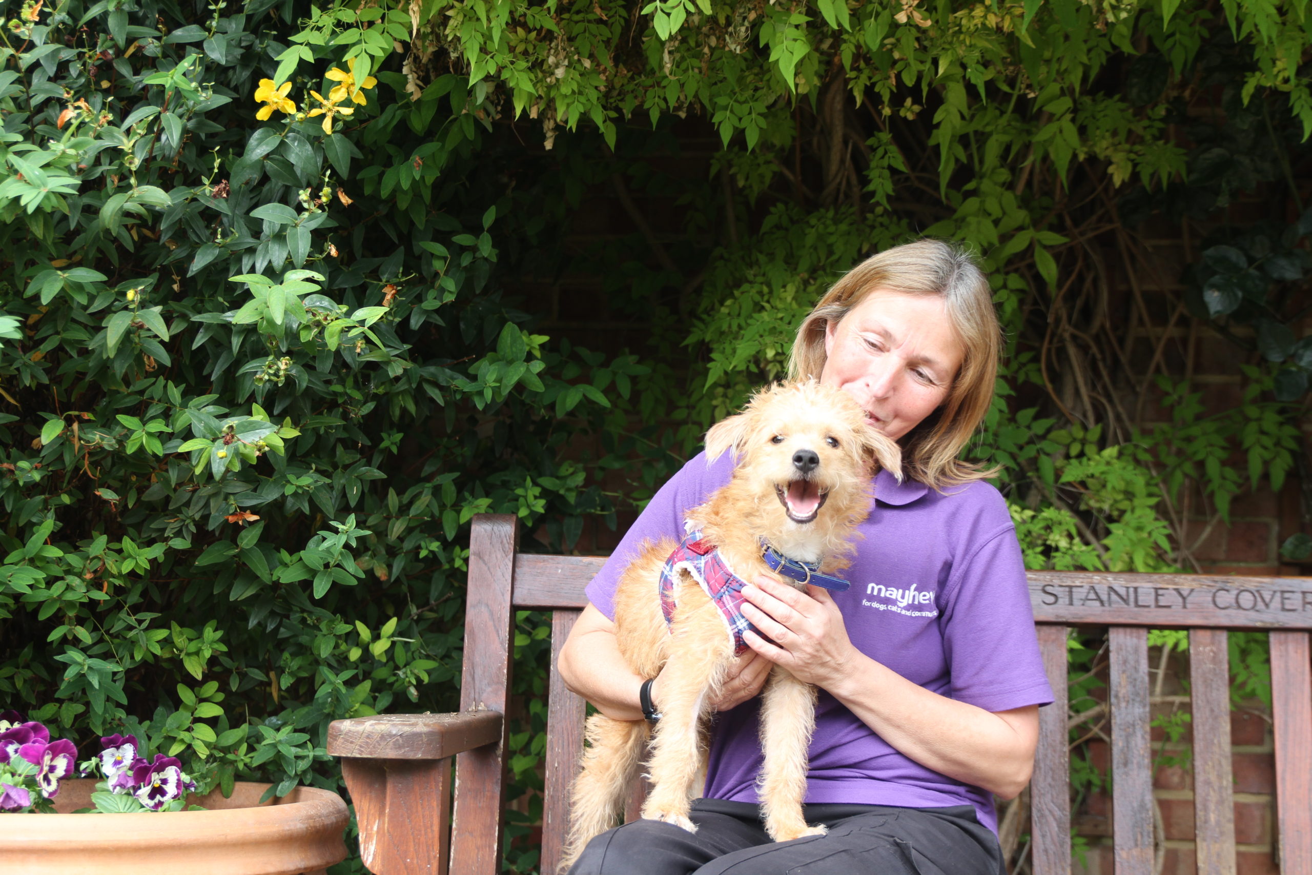 The amazing journey you make possible - Mayhew