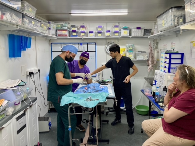 We love Mill Lane Vets! - Mayhew