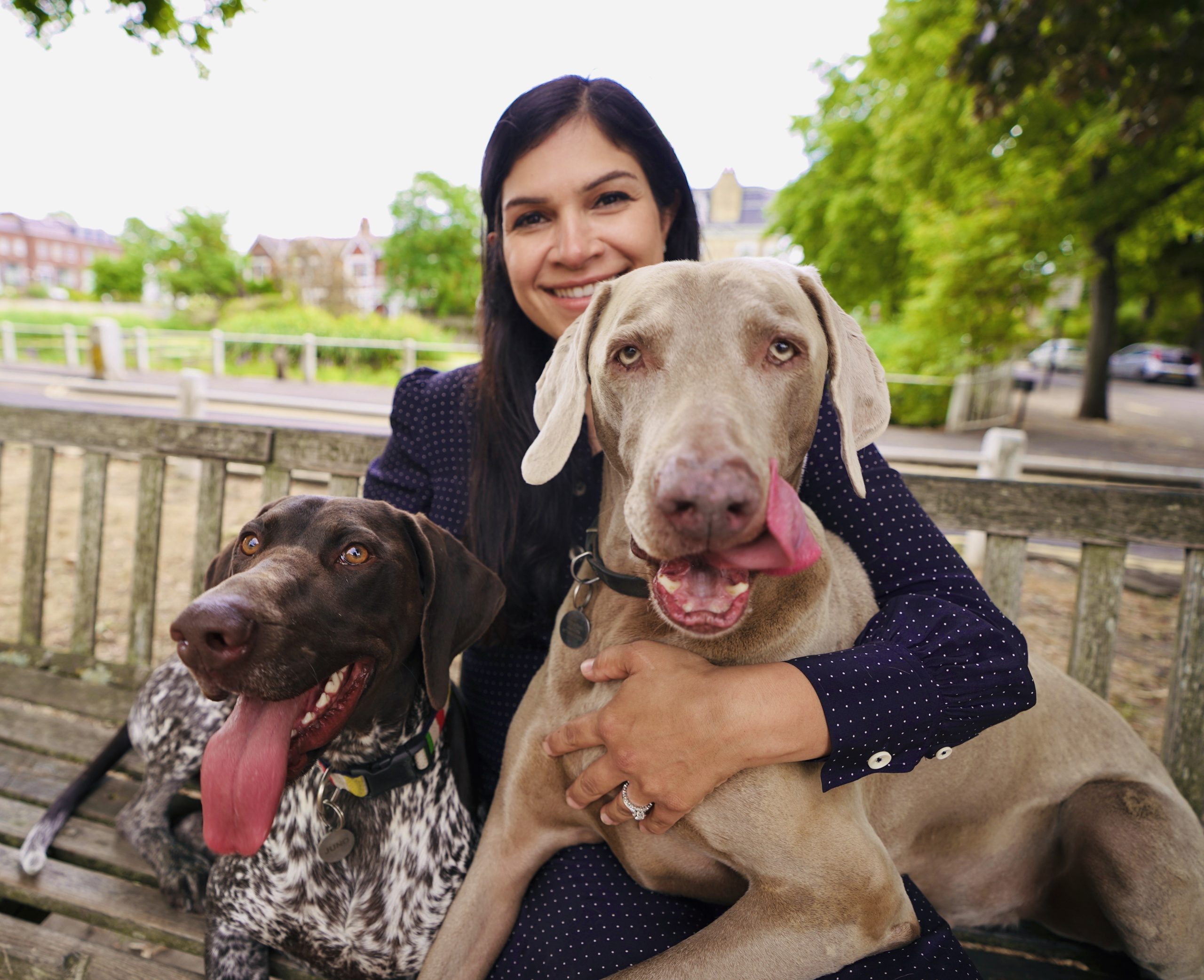 Mayhew announce new CEO - Mayhew