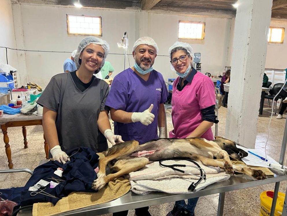 Our own Dr. Mohammadzai leads training of vets in reproductive surgery ...