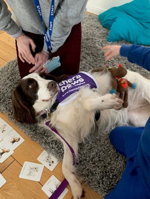 TheraPaws receives a grant from the Pets at Home Foundation - Mayhew