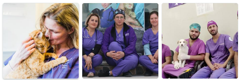 Celebrating our teams on World Vet Day - Mayhew