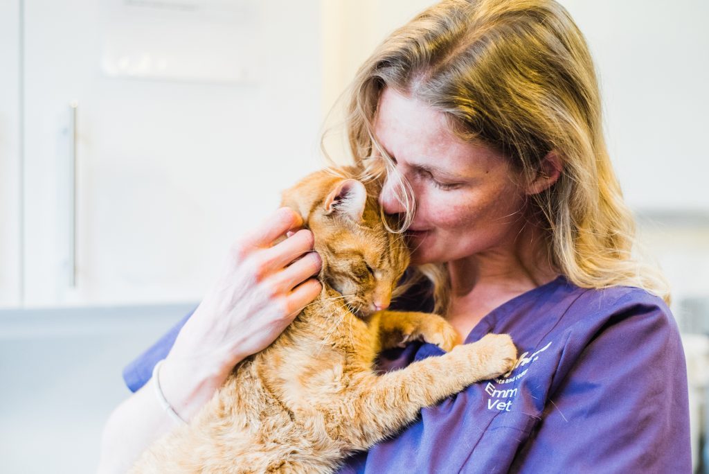 Celebrating our teams on World Vet Day - Mayhew