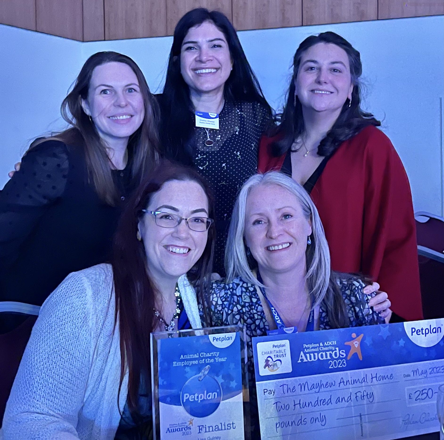Mayhew employee named Category Finalist at 2023 Petplan & ADCH Animal ...