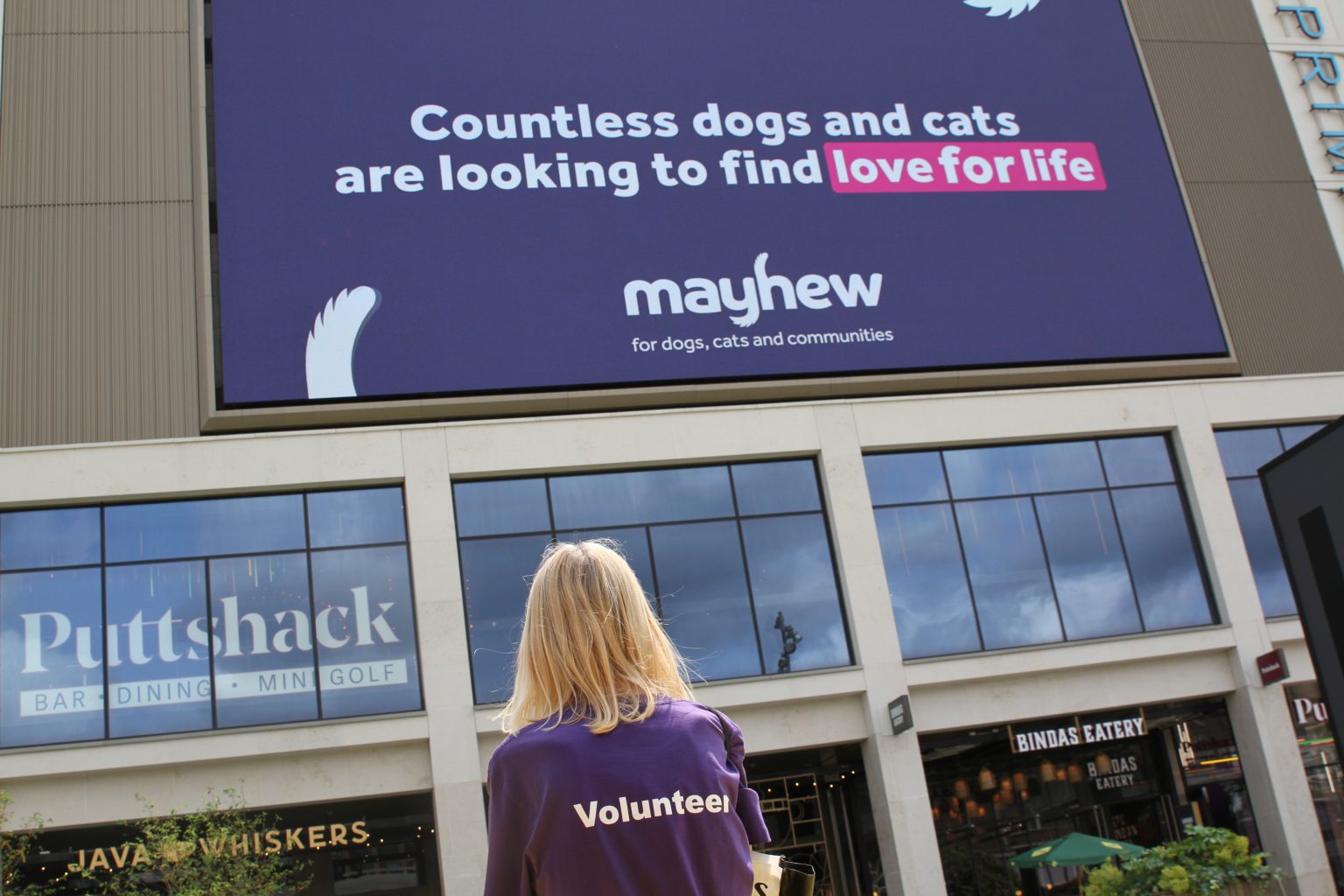 Mayhew celebrates Volunteers' Week - Mayhew