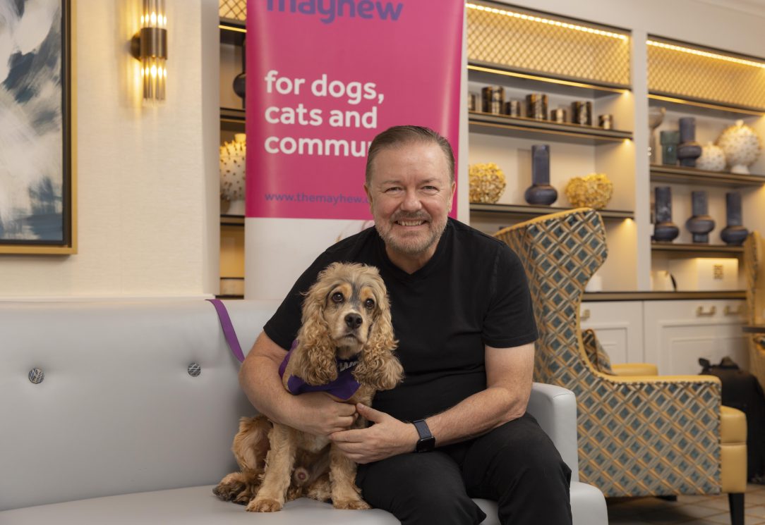 Supporters mark World Animal Day in aid of Mayhew - Mayhew