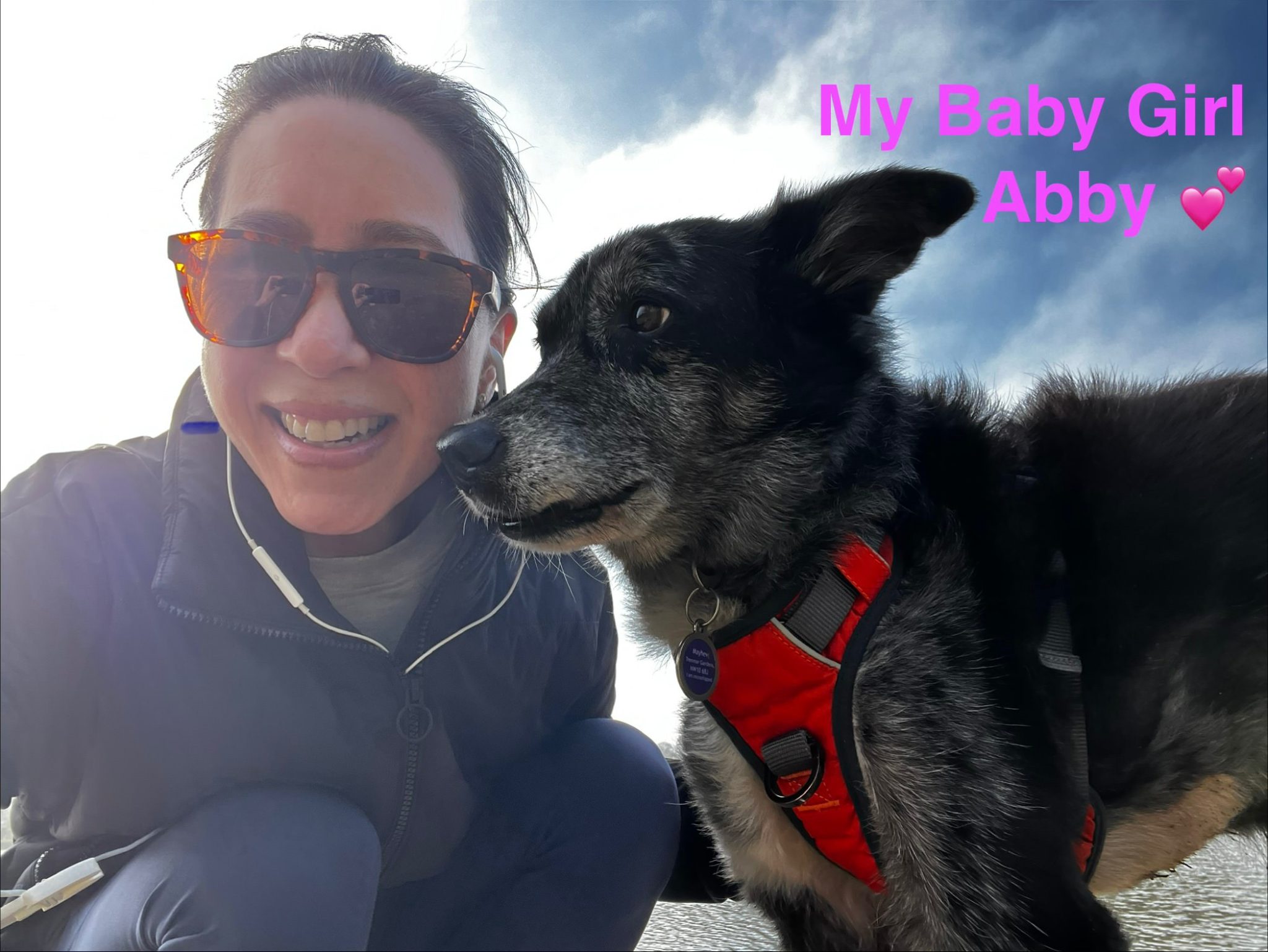 Confessions of a Dog Foster Carer - Mayhew